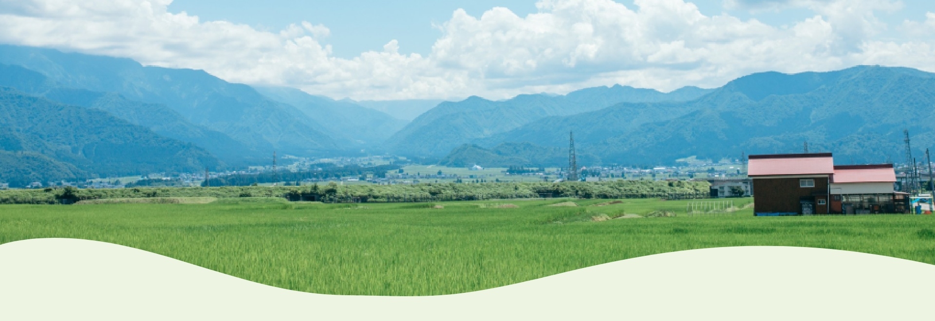 保育園留学 | トヨタモビリティ東京